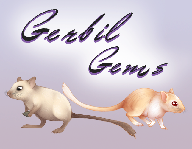 Shooting Star Gerbils